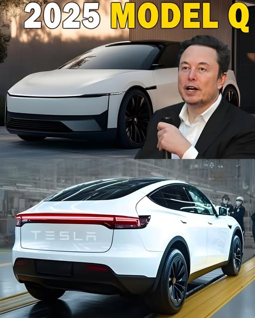 Elon Musk Leaks New Tesla Model Q for 2025: A Game-Changing $30K ...